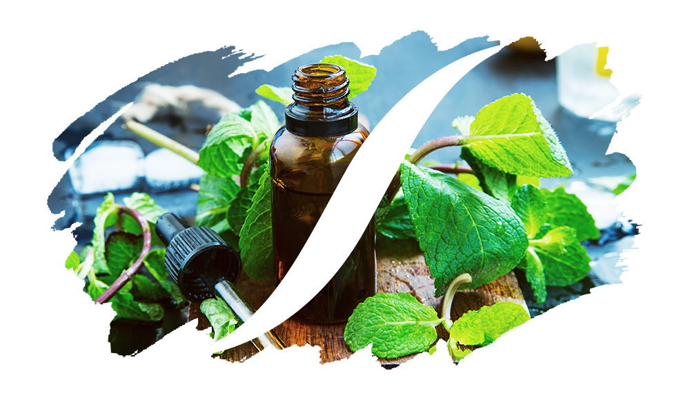 Aromatisch online kaufen | L’arise