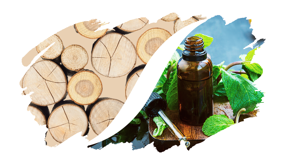 Holzig-Aromatisch online kaufen | L’arise